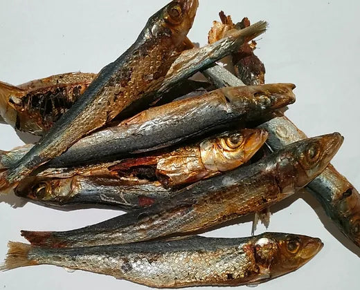 Dried Sardines Pet Treat - 100g – Barkley and Pips